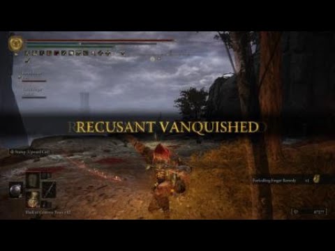 Elden Ring Nerfed Determined Guy Adventures - Invader Gets Boop With A ...