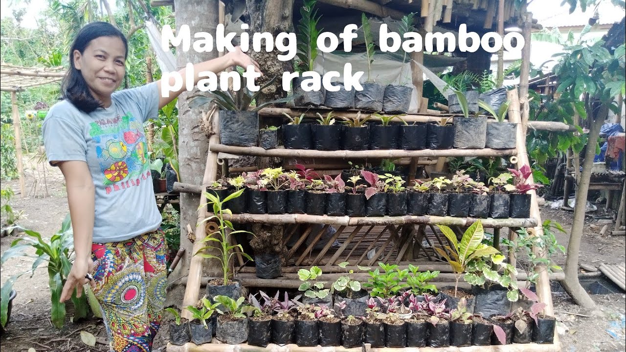 BAMBOO PLANT RACK MAKING|| DIY - YouTube