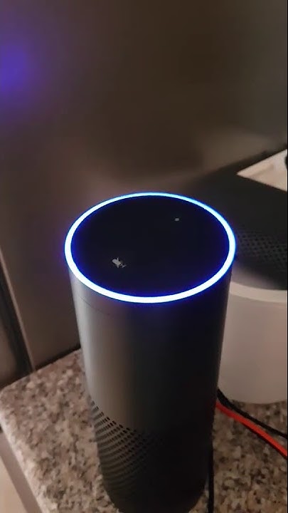 Alexa Blinkist loop - YouTube