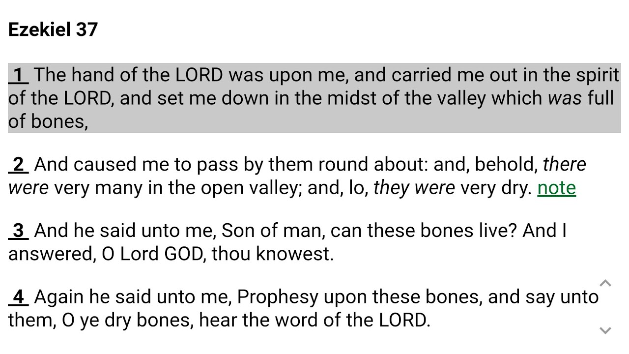 Ezekiel 37 Dry Bones - YouTube