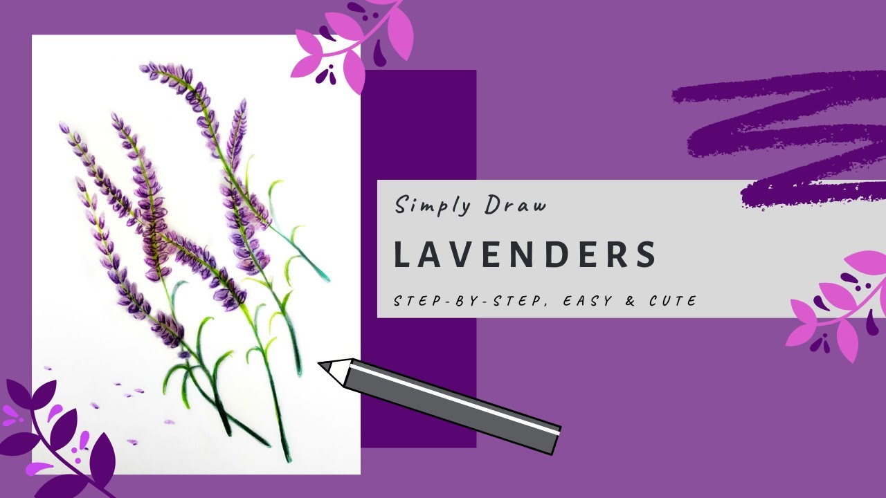 How to draw Lavenders | Simply Draw | Step-by-step, Easy and Beautiful ...