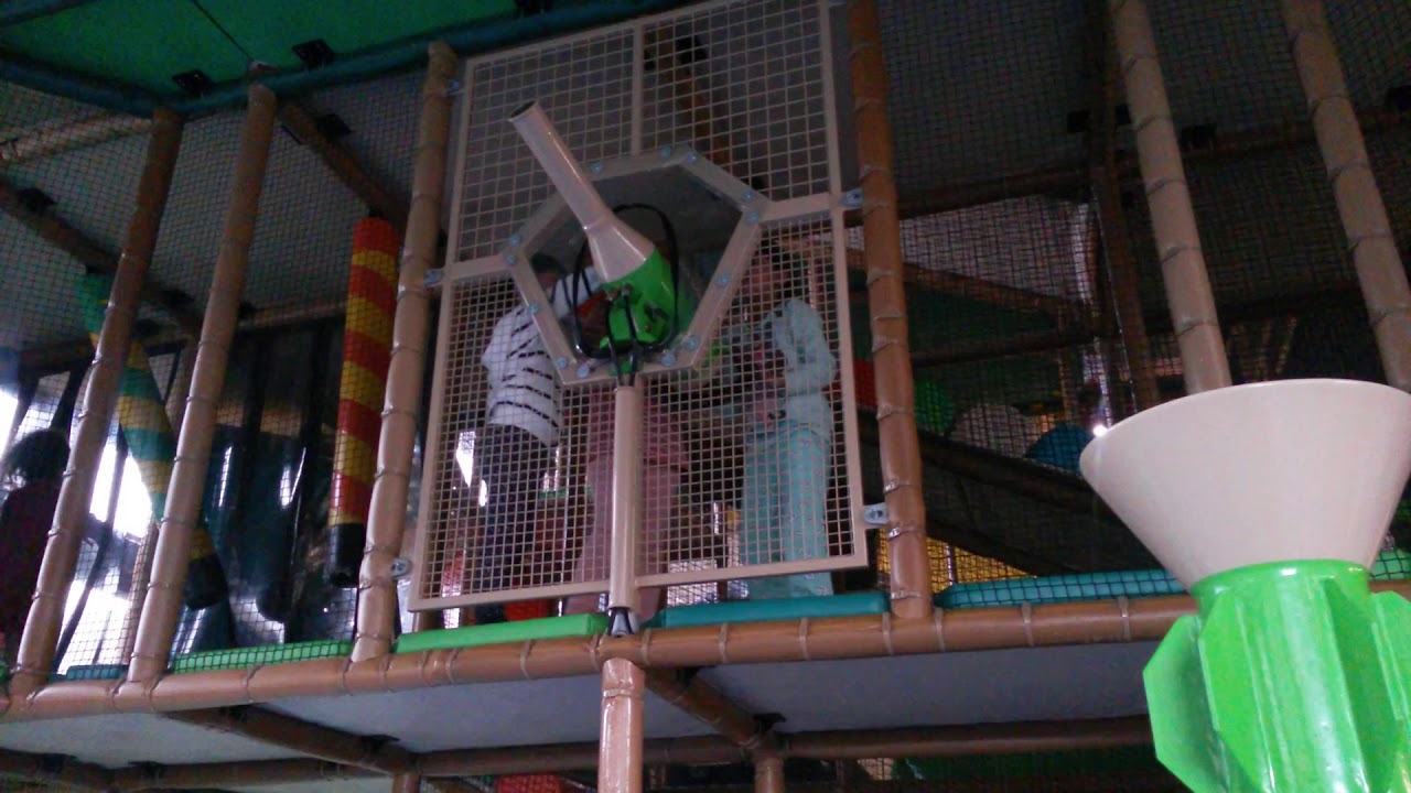 Monkey mania Australia - YouTube