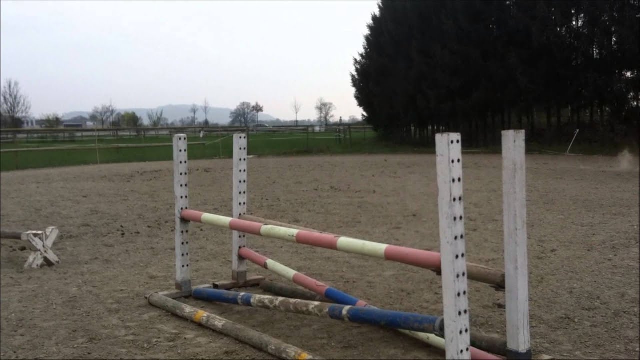 Jumping my amazing Gypsy Cob/ Springen mit meinem Tinker - YouTube