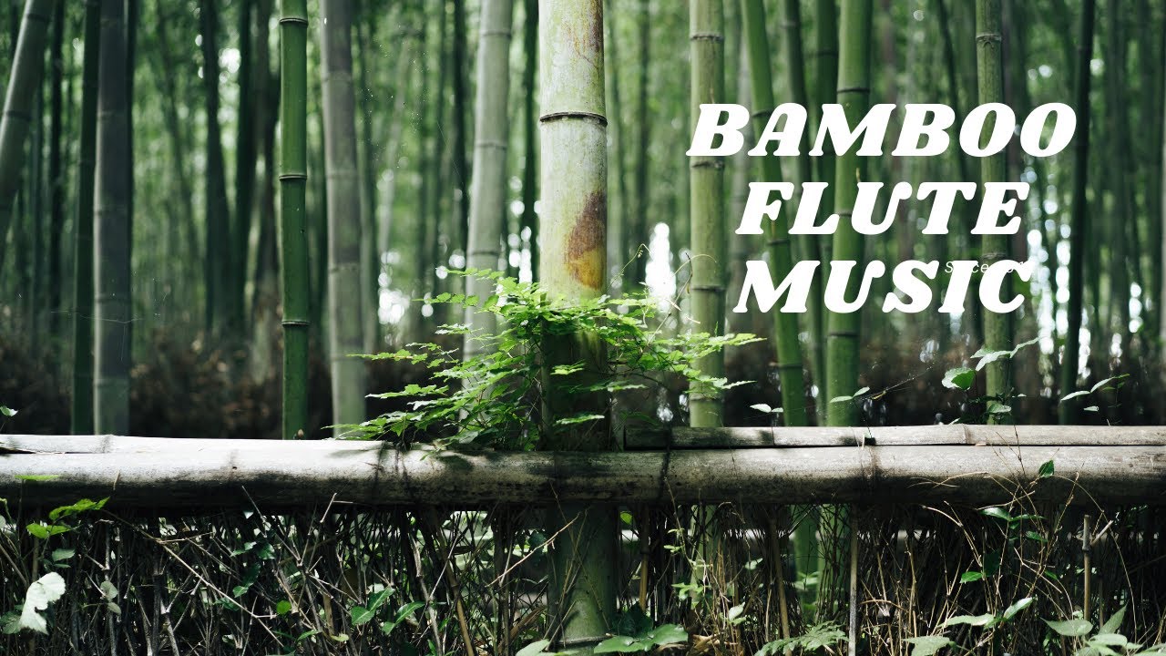 Beautiful Relaxing Bamboo Flute Music | Meditational Flute Music ...