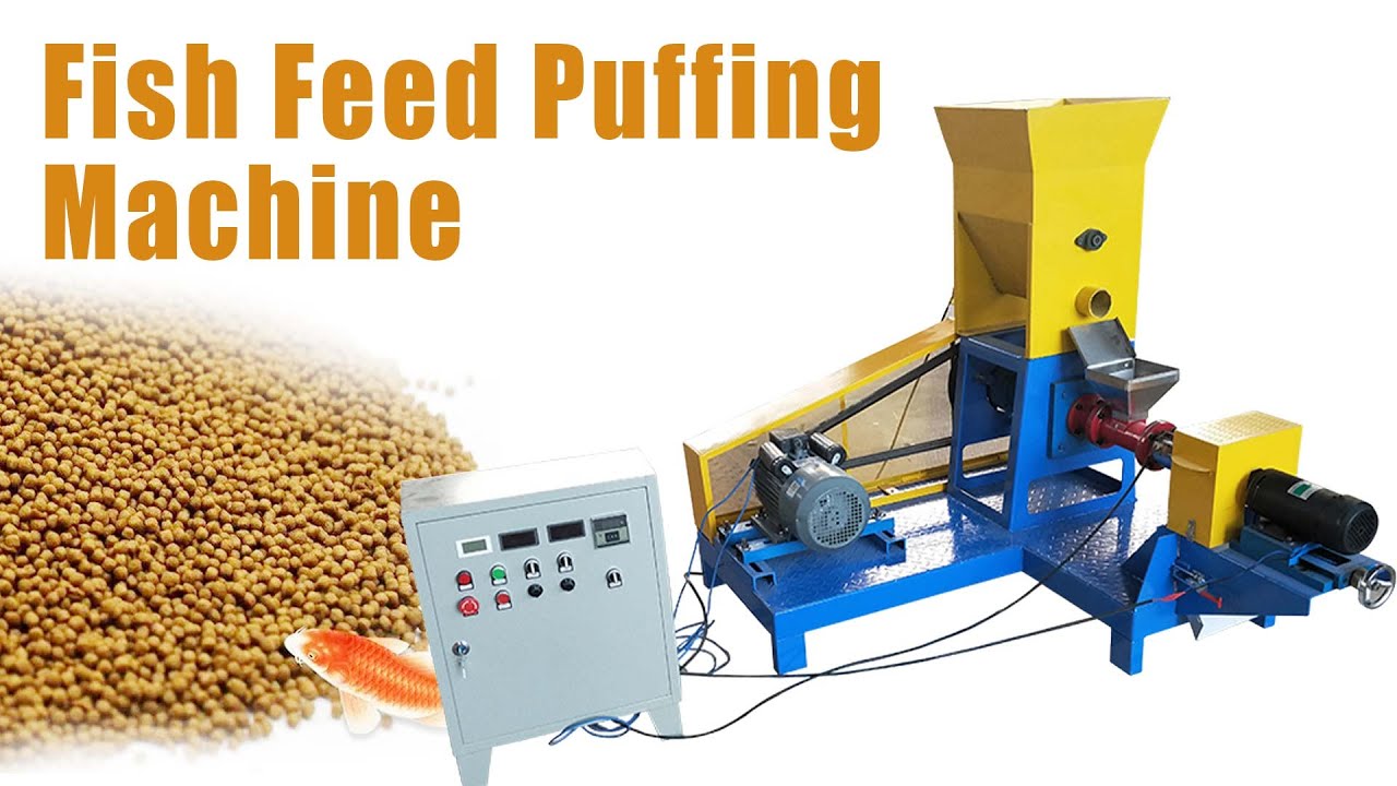 How is Delicious and Healthy Fish Food Made? Watch This Video to Find ...