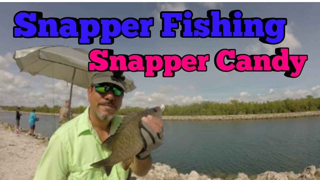 Snapper Fishing with Snapper Candy - YouTube