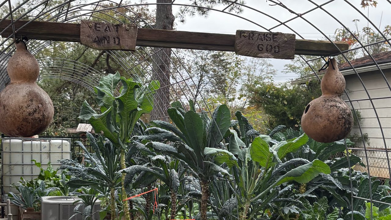 I need help with my garden. - YouTube