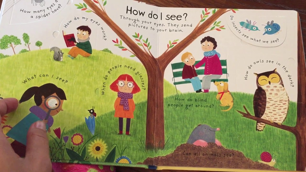 Usborne How do I see? - YouTube
