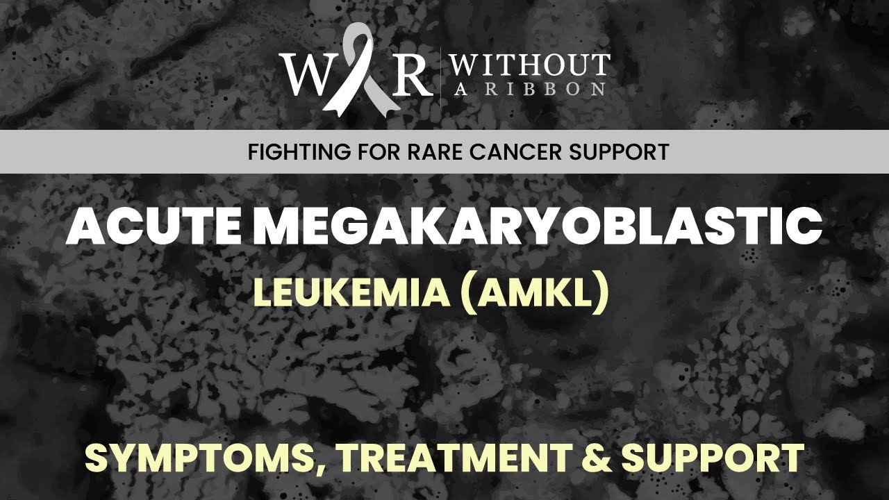 ACUTE MEGAKARYOBLASTIC LEUKEMIA (AMKL) – SYMPTOMS, TREATMENT & SUPPORT ...