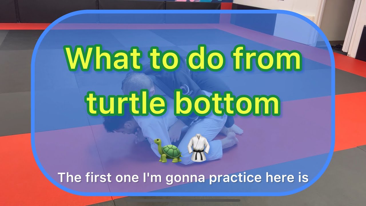 How to roll from turtle bottom #bjj #jiujitsu #brazilianjiujitsu #btt # ...