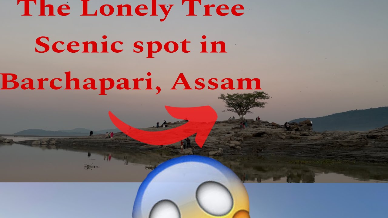 Guwahati at lonely tree spot #picnic #spot #assam #travel # ...