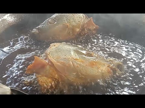 MACHHLI FRAI /FISH 🐠 RECIPE/RECIPE FISH FRY/ - YouTube