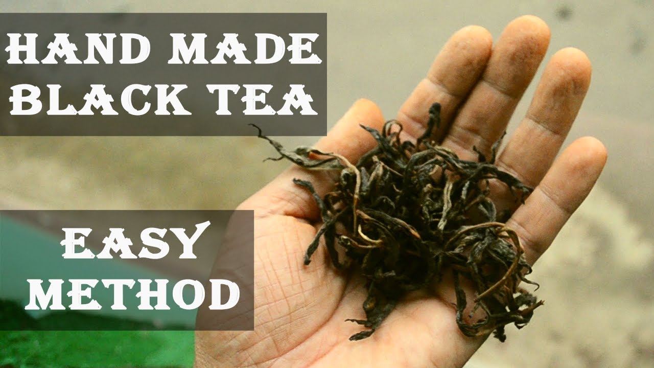 How to make hand made tea at home. Darjeeling Black tea. - YouTube