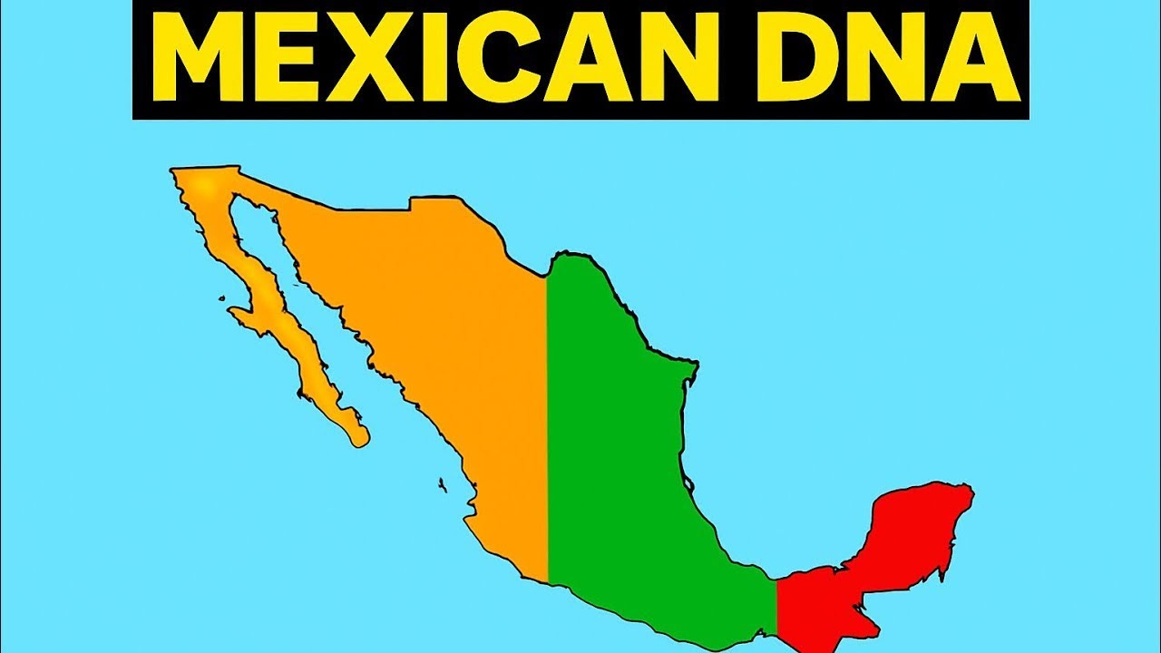 The HIDDEN Story Of MEXICAN DNA: Ancient Origins Revealed - YouTube