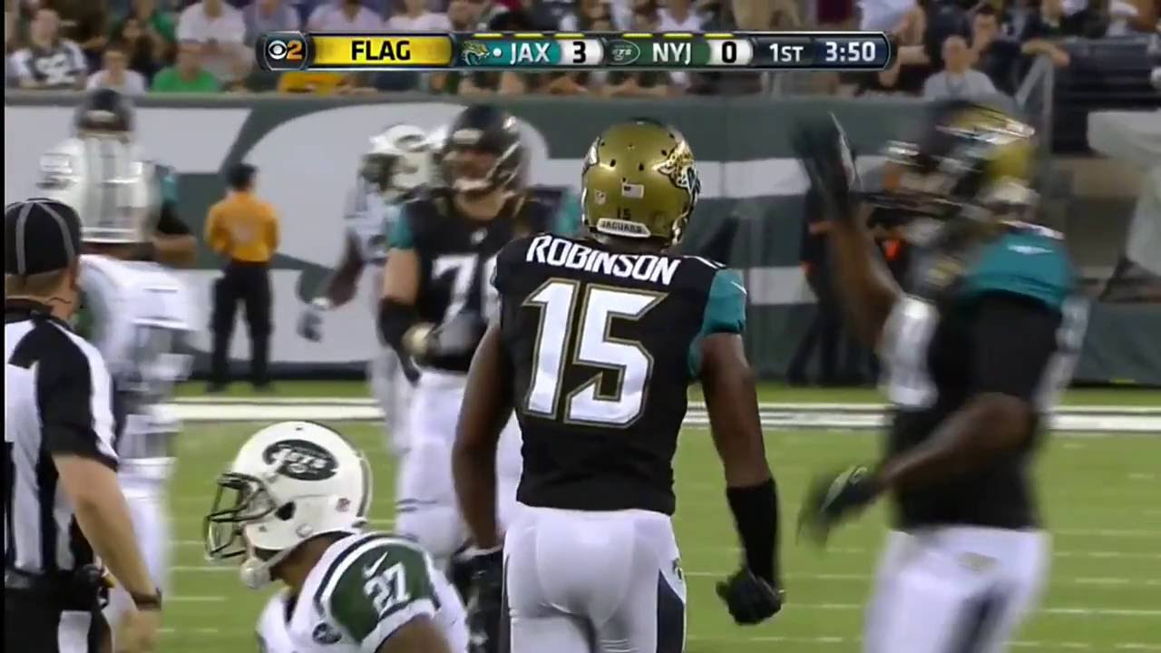 Allen Robinson's Amazing Preseason catch - YouTube