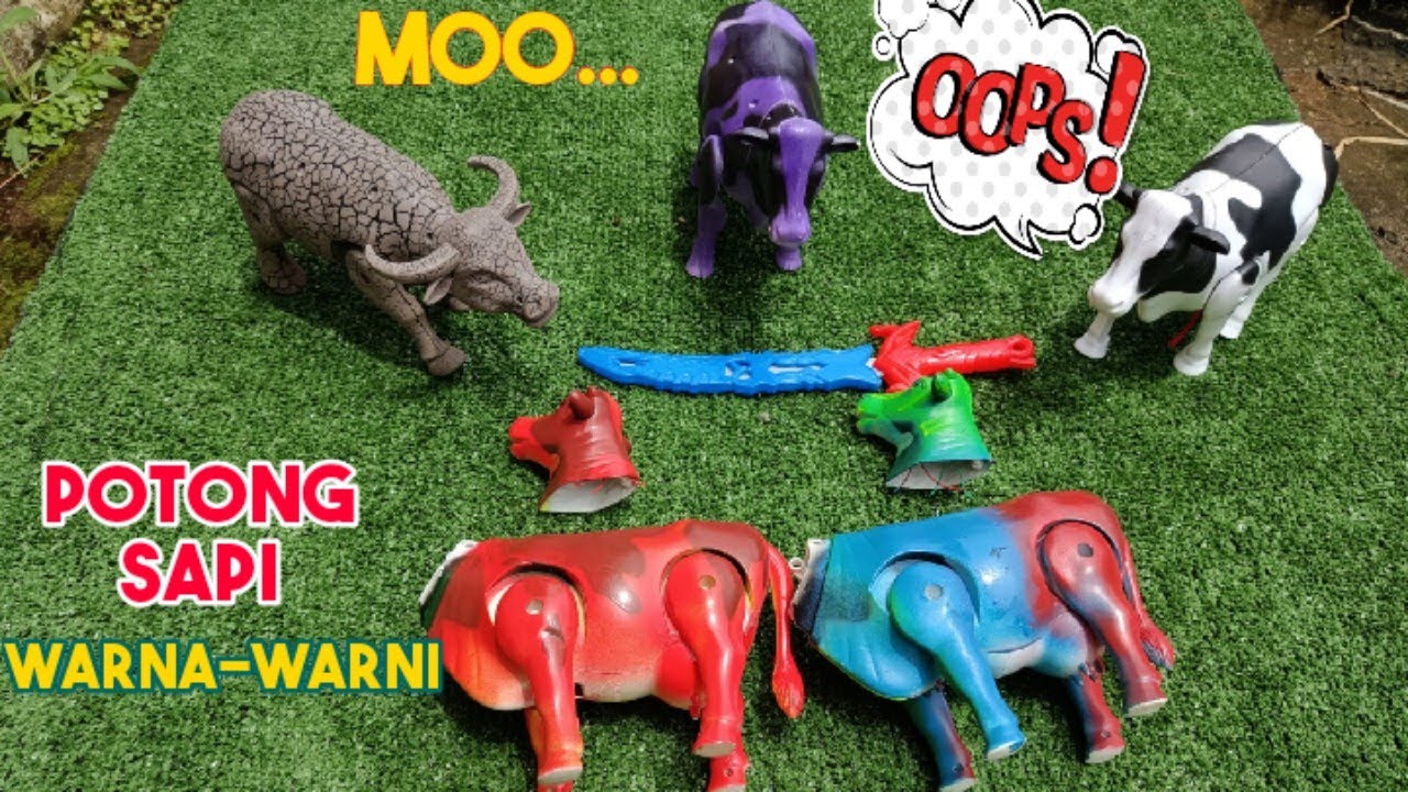 MANTUL...! SAPI DIPOTONG, POTONG SAPI KARTUN, KERBAU, SAPI WARNA-WARNI ...