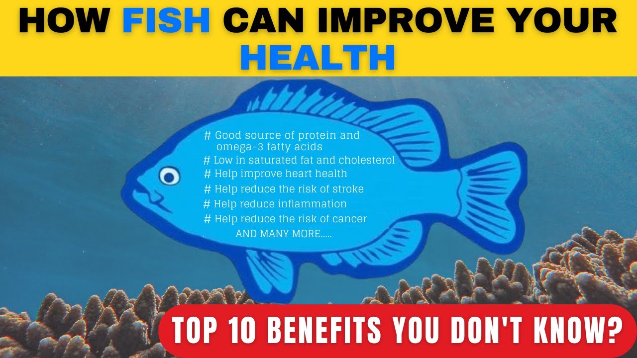 How Fish Can Improve Your Health The Top 10 Benefits you Don't know ...