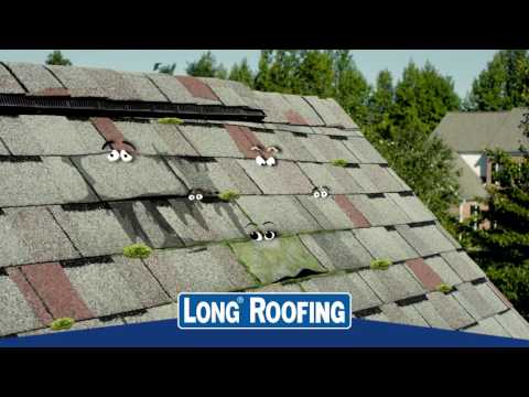 Long Roofing Spring Talking Shingles Commercial -ESB Advertising - YouTube