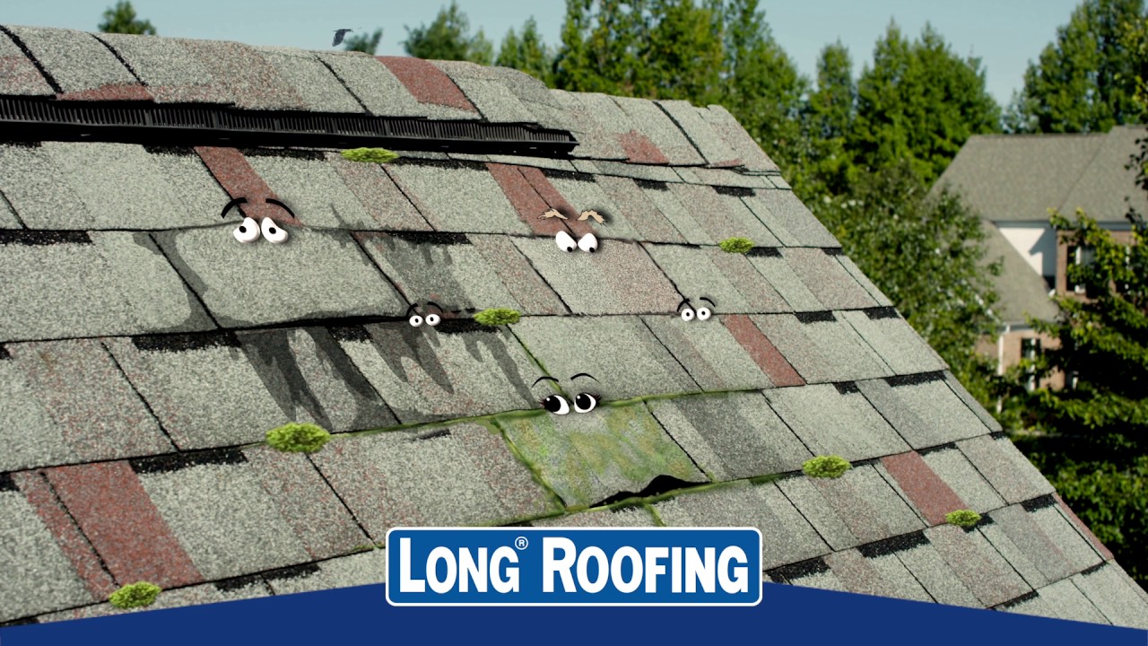 Long Roofing Spring Talking Shingles Commercial -ESB Advertising - YouTube