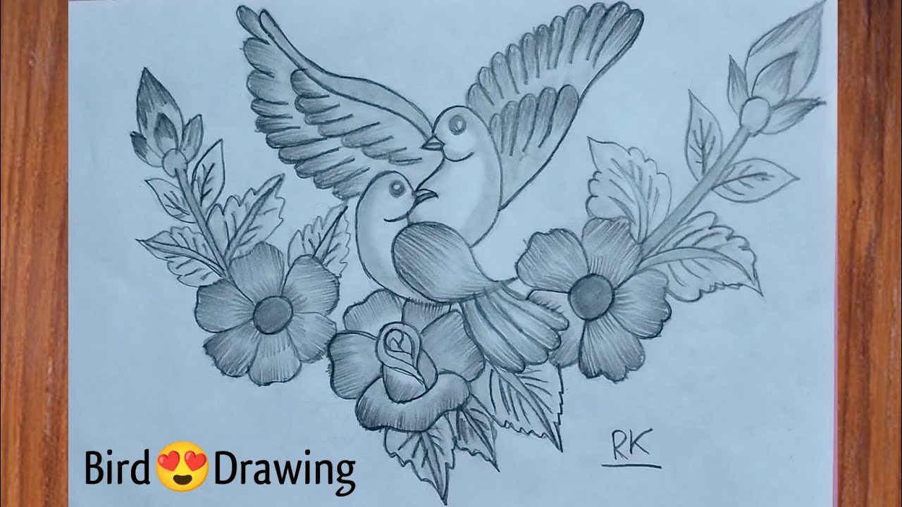 How To🦜Draw Birds Scenery with pencil ||Bird Sitting🐦On Tree Drawing ...