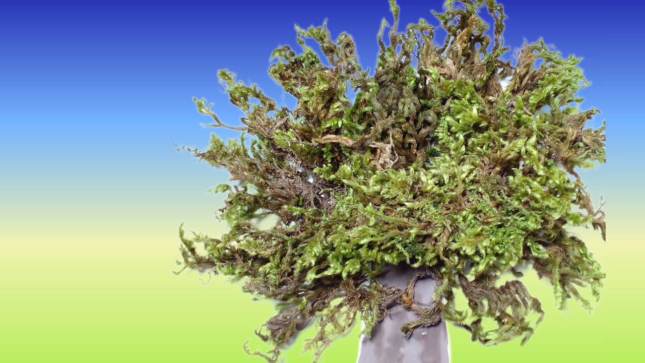 Embossed Painting | Embossed Painting Tutorial For Beginners - YouTube