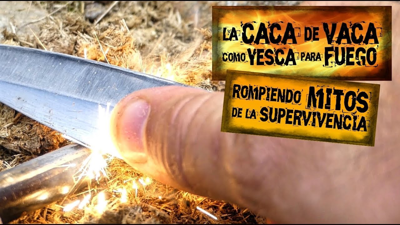 💥 Rompiendo Mitos de la SUPERVIVENCIA | La Caca de Vaca Como YESCA Para ...