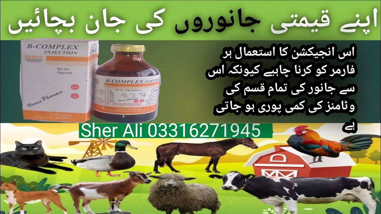 B complex injection uses in Animals - YouTube