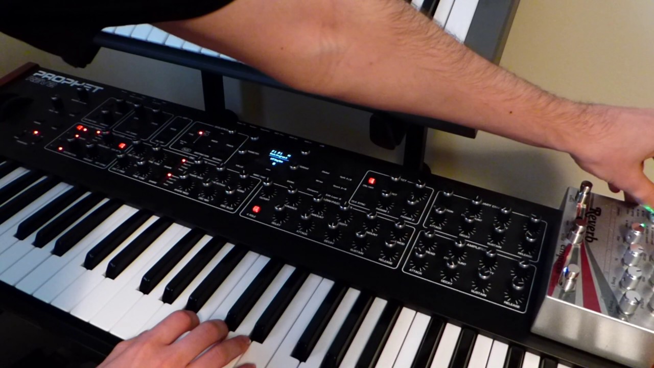 DSI Prophet Rev 2 & Empress Effects Reverb - YouTube