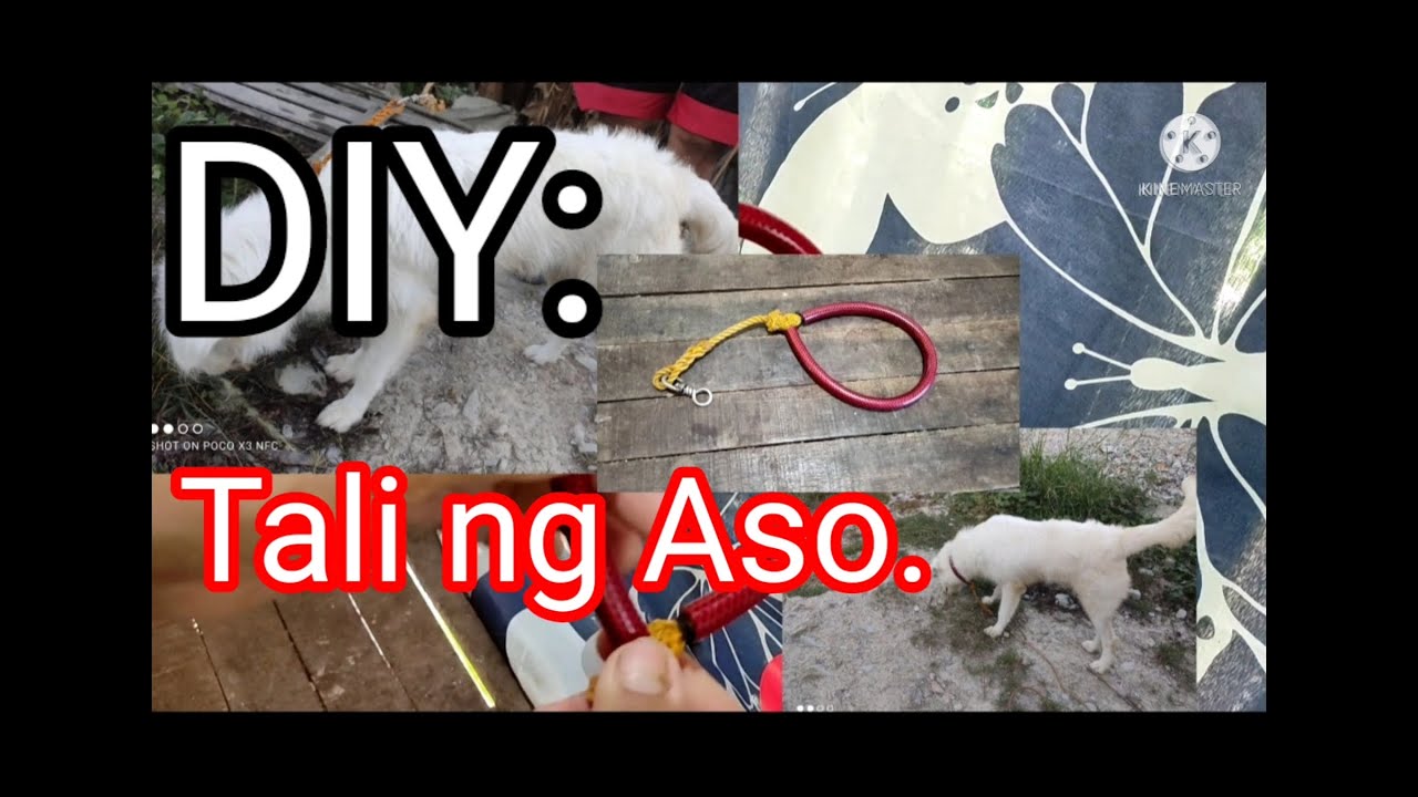 DIY: Tali ng Aso. - YouTube