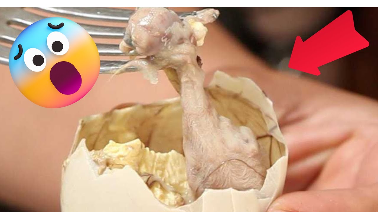 LOS 4 ALIMENTOS MAS ASQUEROSOS DEL MUNDO - YouTube