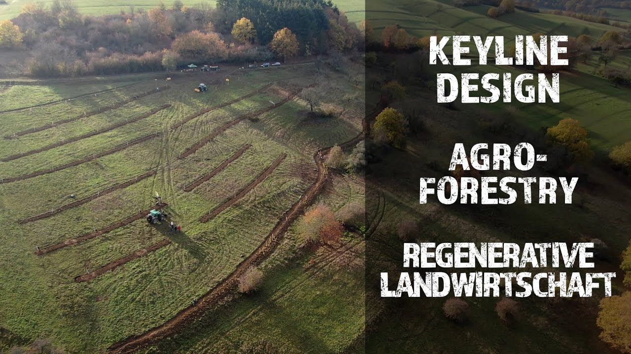 Regenerative Landwirtschaft auf der Bannmühle | Keyline Design ...
