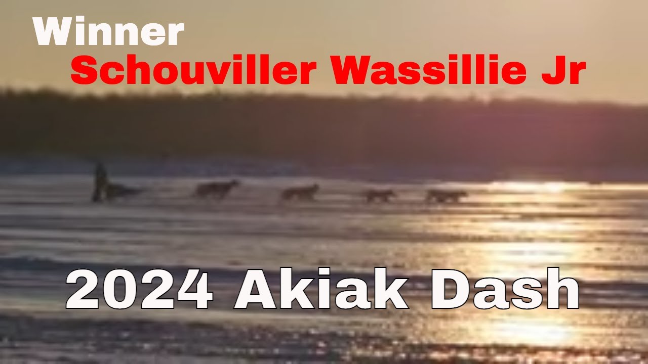 Watch The Thrilling Finish Of The Akiak Dash Sled Dog Race In Beautiful ...