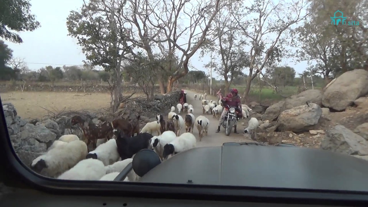 Devshree Deogarh - YouTube