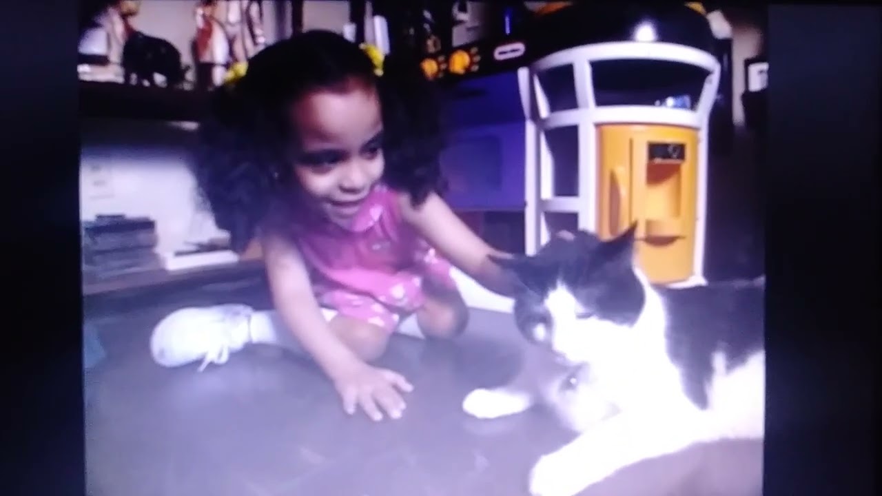 Elmo's World Cats Footage - YouTube