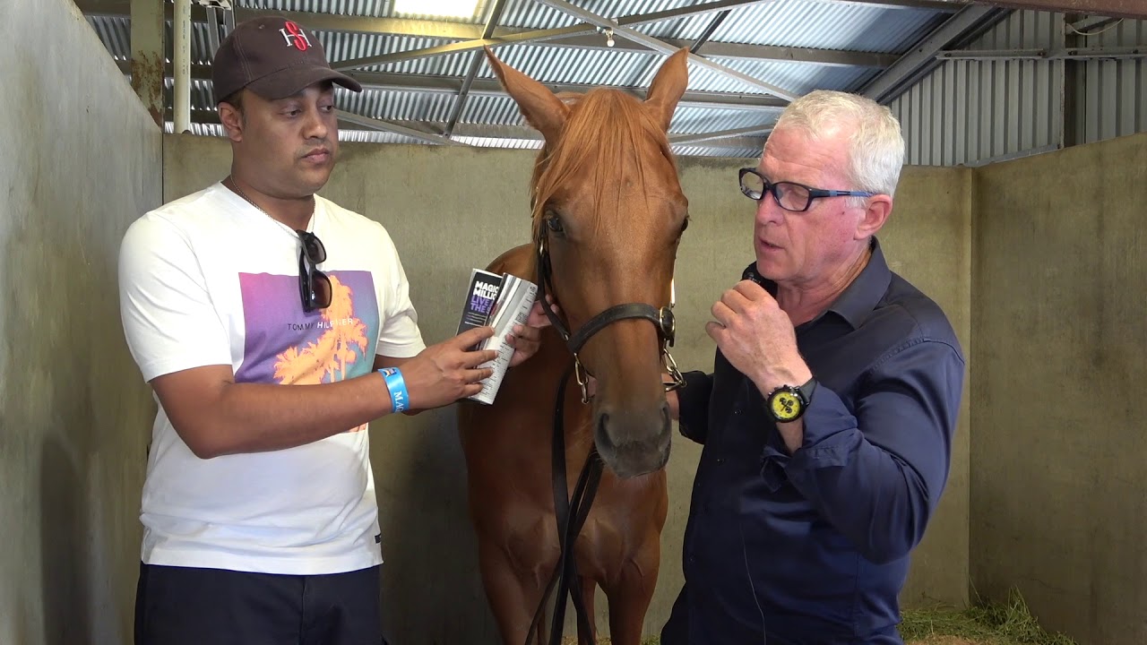 Magic Millions Akeed Mofeed x Saramenha Filly - YouTube