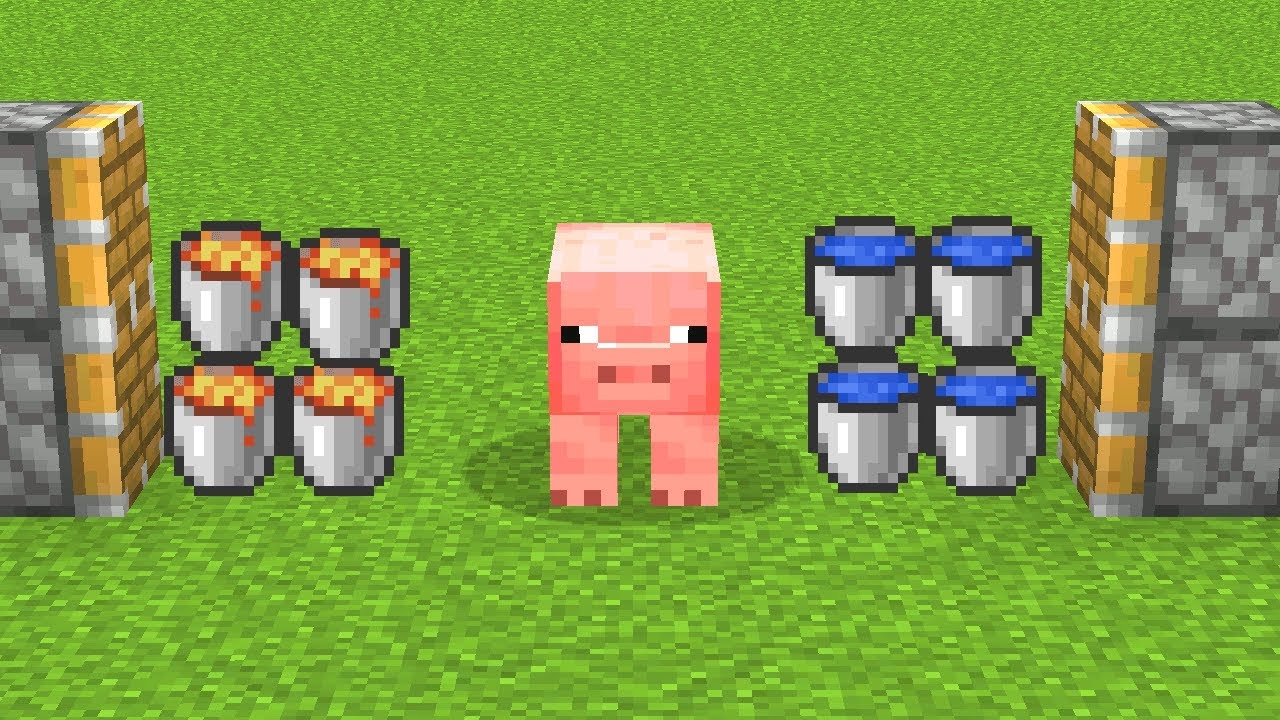 lava buckets + pig + water buckets = ??? - YouTube