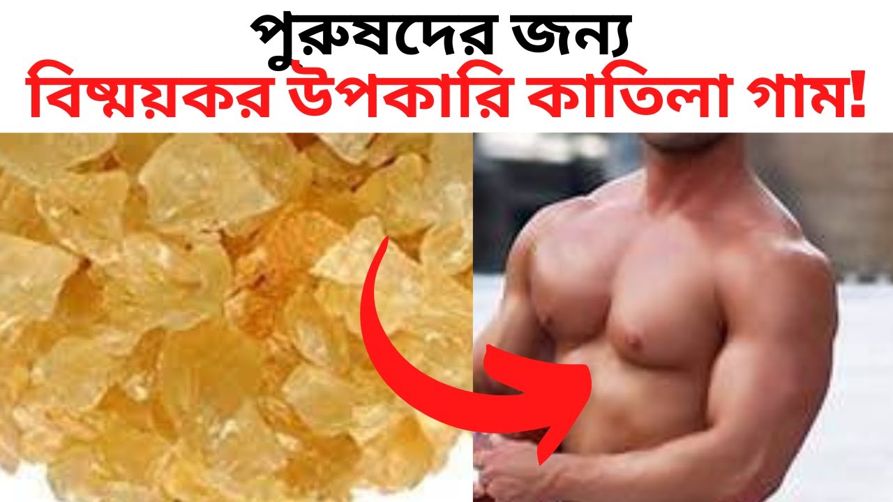 কাতিলা গামের উপকারিতা || কাতিলা গামের উপকারিতা ও ভেষজ গুণ || katila gum ...