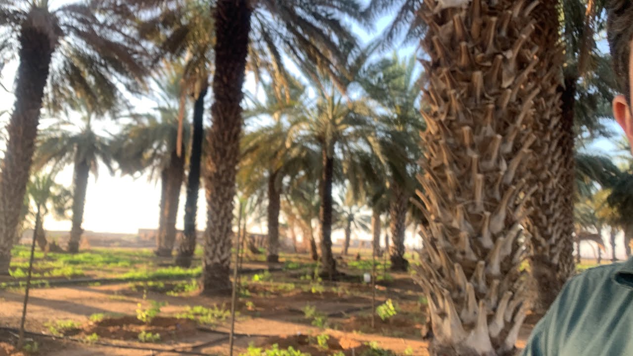 Majra work - YouTube