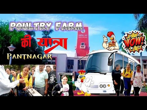 pantnagar city#poultry farm visit #pantnagaruniversity #poultryfarm # ...