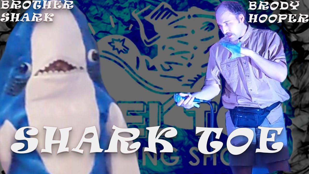 Shark Toe - YouTube