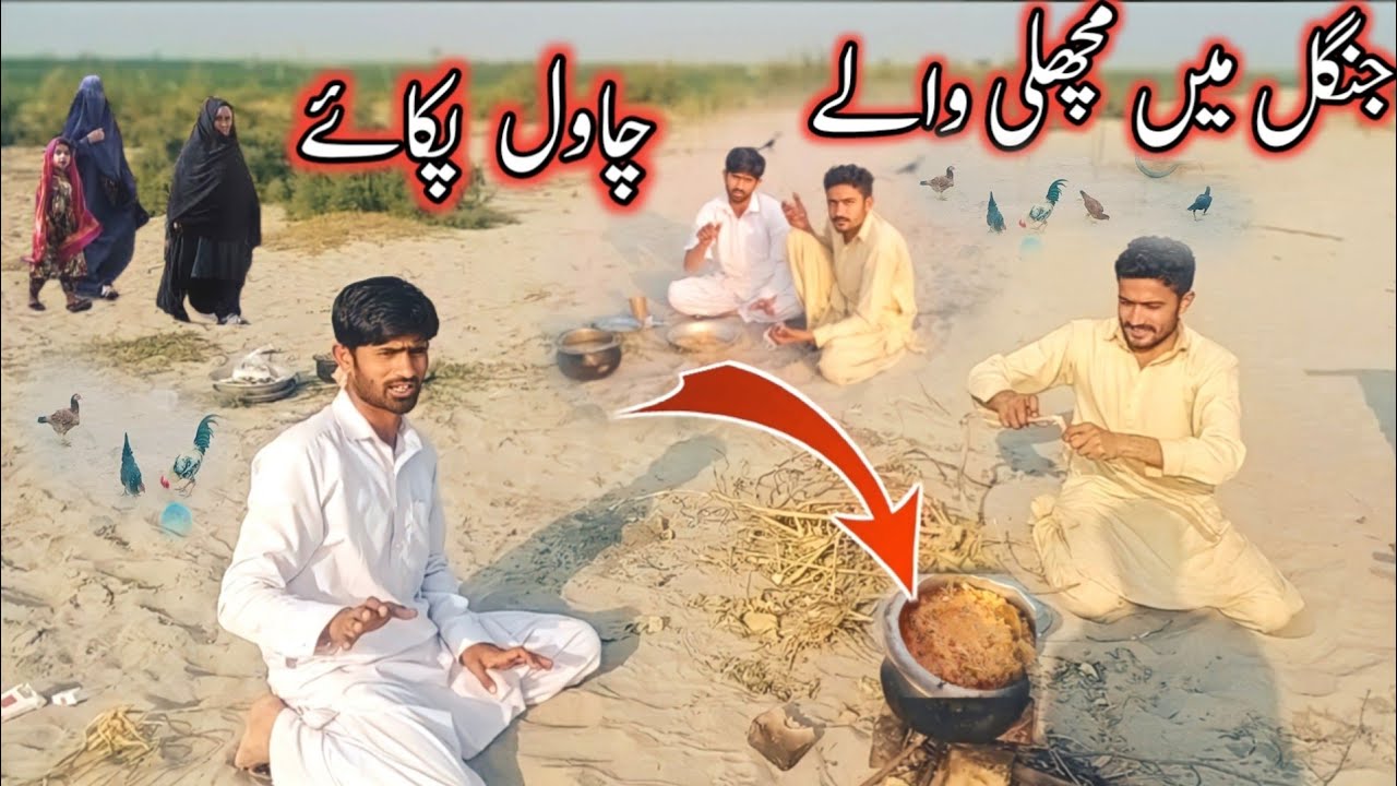 Fish Rice Eating in the Jungle | Jungle Video | Ashraf Vlogr - YouTube