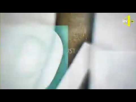 Tovuz rayonu Aşağı Quşçu kəndi