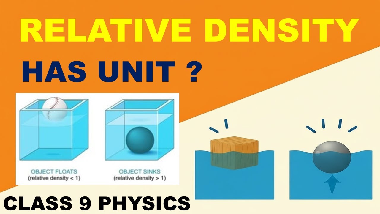 Relative Density | Class IX | Science | Physics | Gravitation | BGK ...