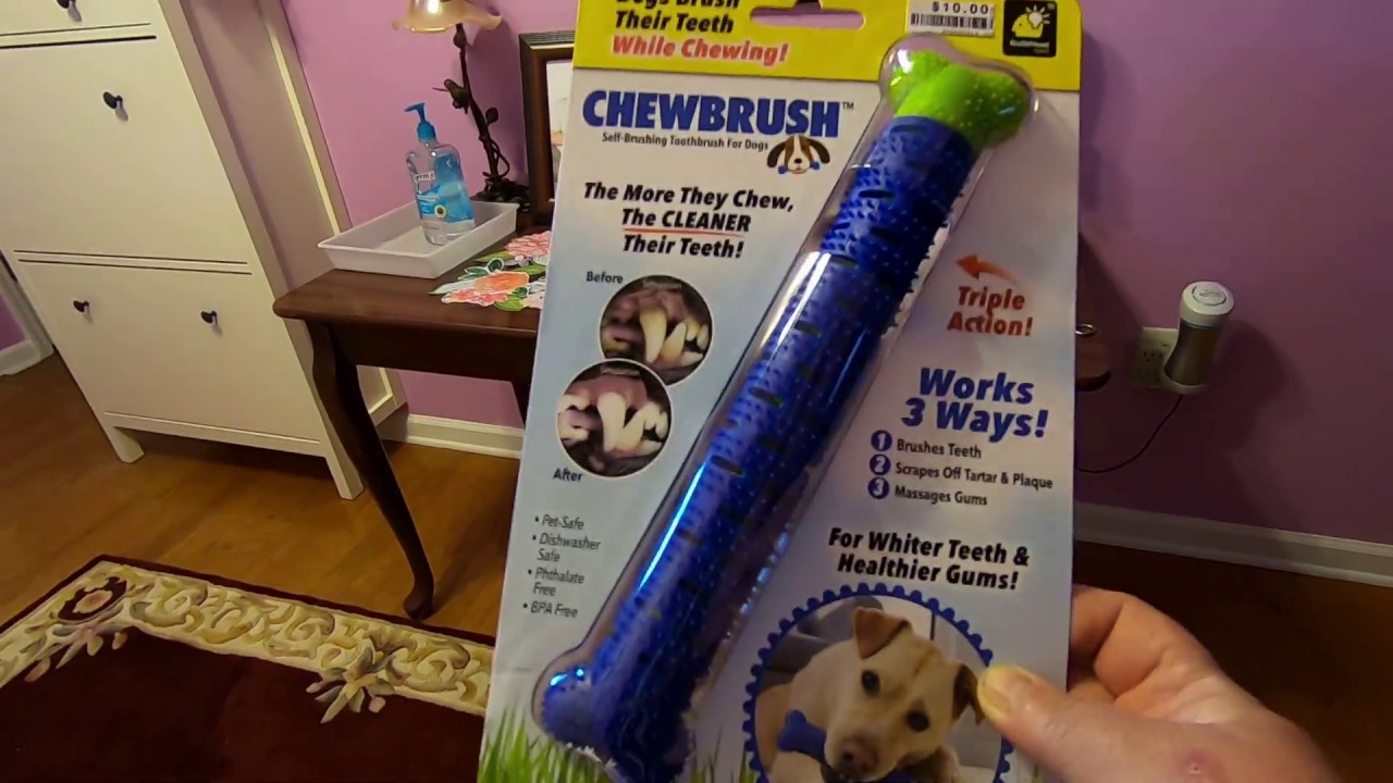 USA.СТЕЛЛА ЧИСТИТ ЗУБЫ . CHEWBRUSH. - YouTube