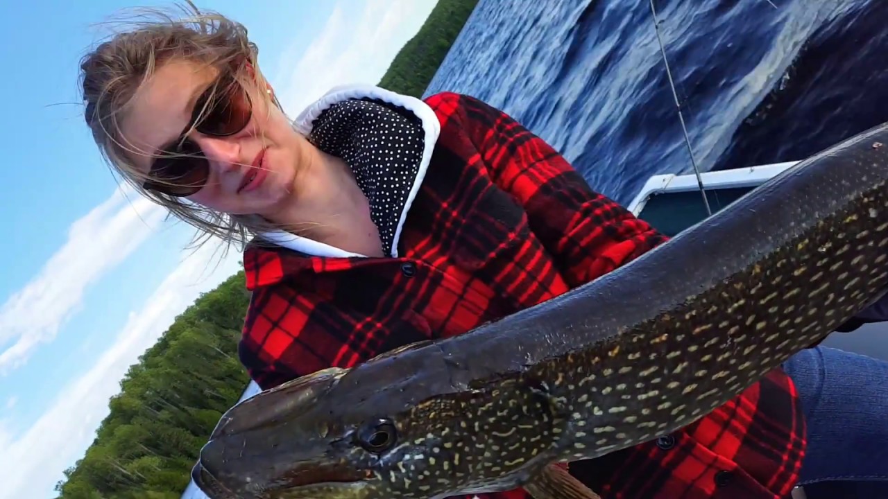 HUGE 35" NORTHERN PIKE - YouTube