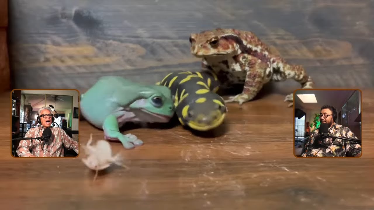 Daily Pidgin Podcast w/Andy Bumatai & James Mane - YouTube