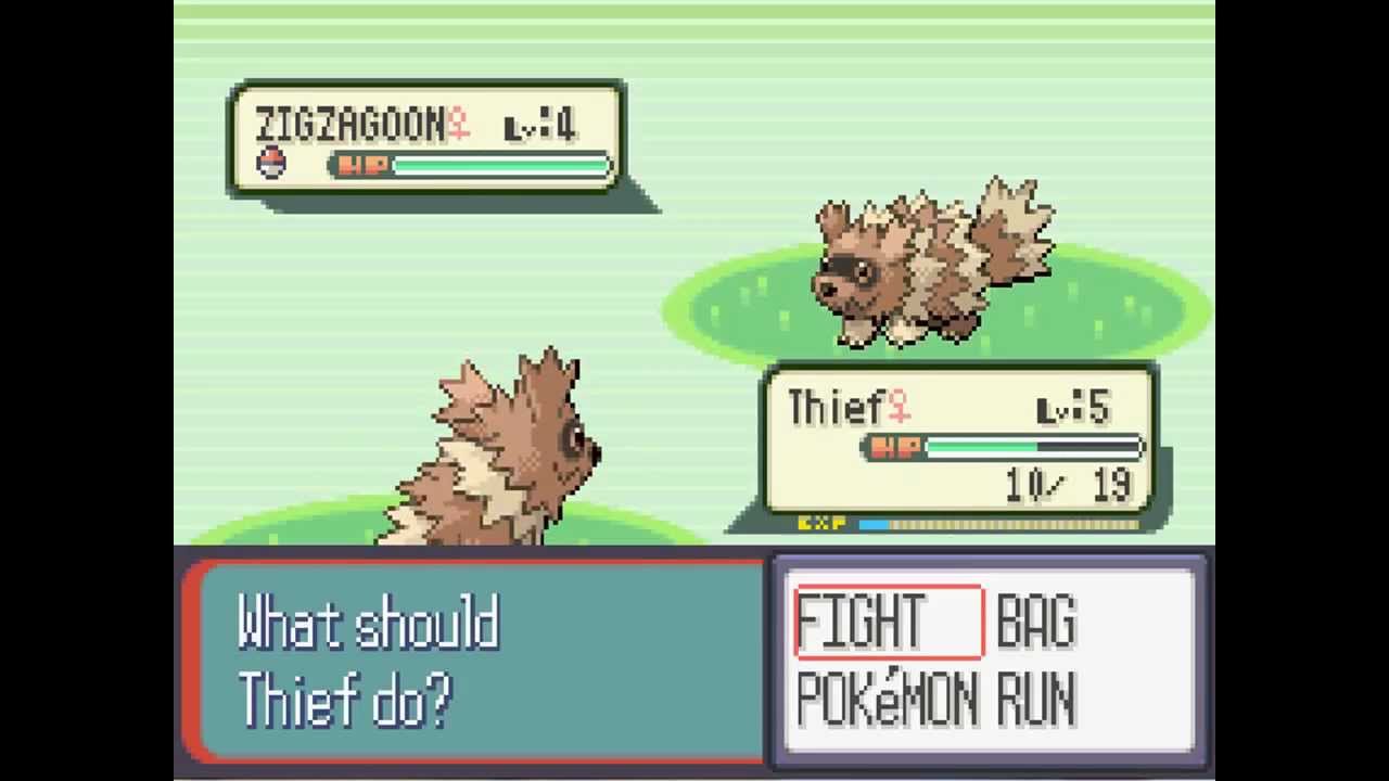 Pokemon Ruby part 3: Zigzagoon's are everywhere! - YouTube