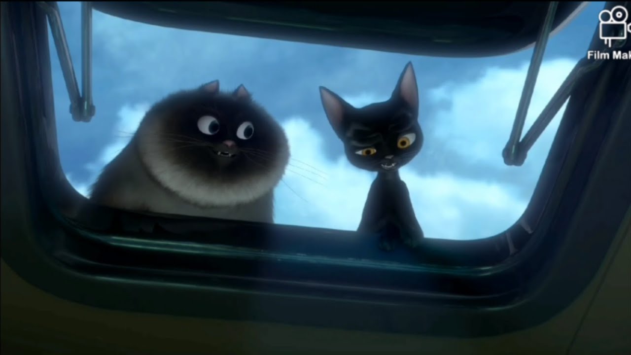 Bolt Funny Cats Scene Fandub Collab With TameWolf03 And AlphaWolfKodi ...