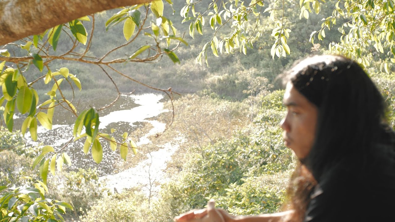 Menikmati Keindahan alam Hutan Borneo, Hutan Yang Kian Tergerus ...