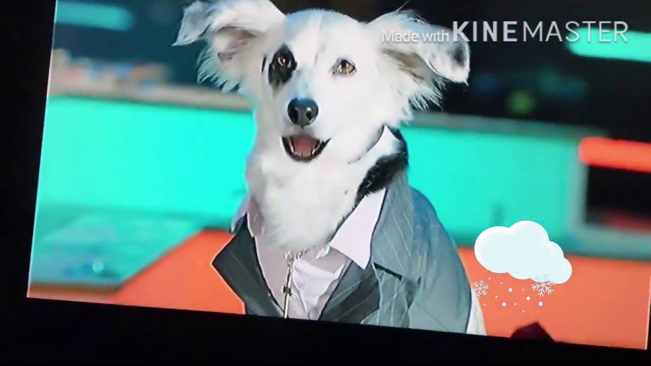 Júlio tell me cuando - YouTube